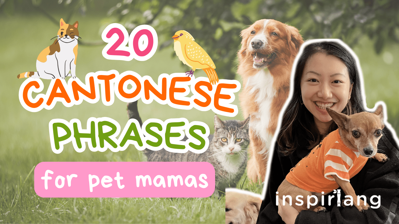 Inspirlang » Learn 20 Cantonese Phrases | Furry Animal Edition